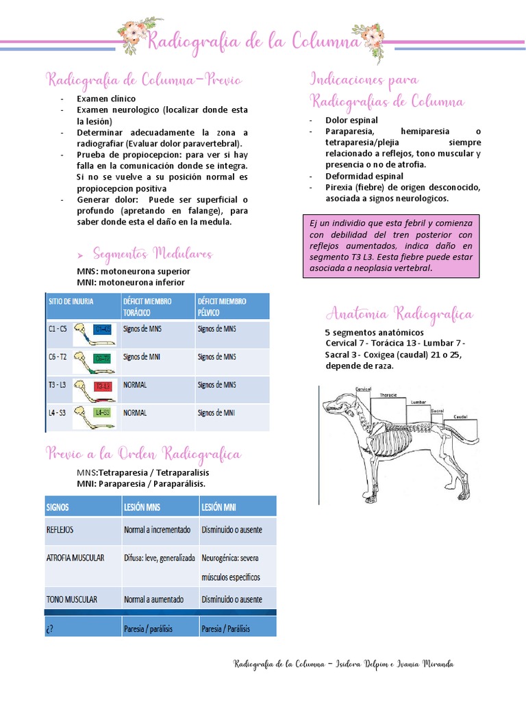 4) RX Columna | PDF