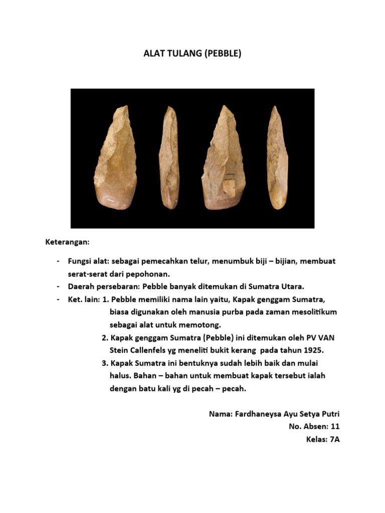 Fungsi dan Sejarah Alat Tulang Pebble | PDF