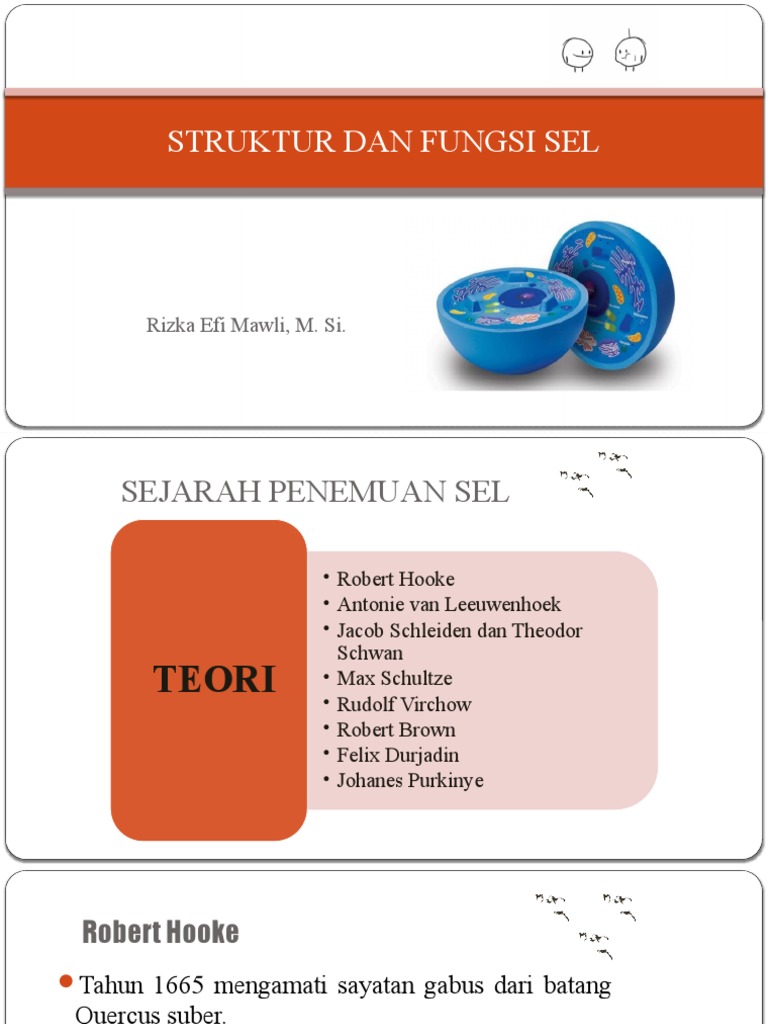 3 Struktur Dan Fungsi Sel Pdf