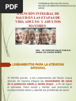 Modelo Bifocal de Enfermería | PDF | Enfermería | Las emociones