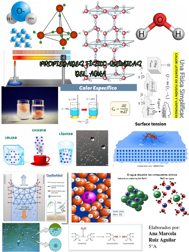 Propiedades Físico-Químicas Del Agua | PDF