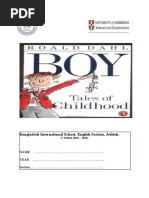 Boy - Roald Dahl - Summary | PDF | General Fiction