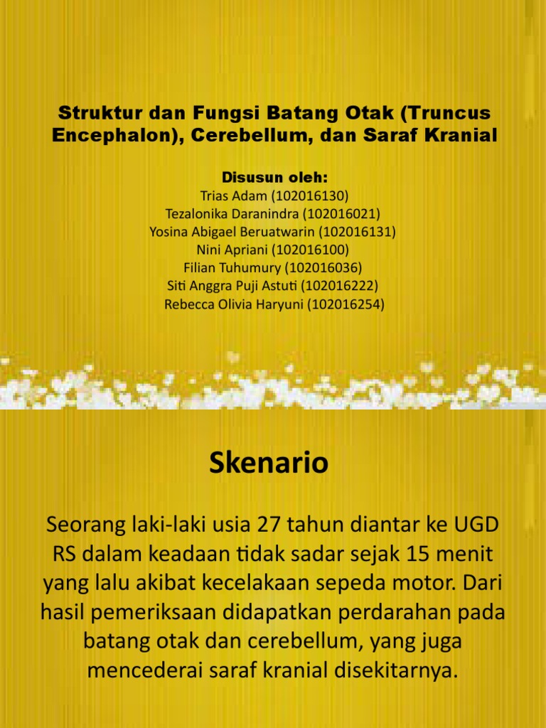 Struktur Dan Fungsi Batang Otak (Truncus Encephalon), Cerebellum, Dan ...