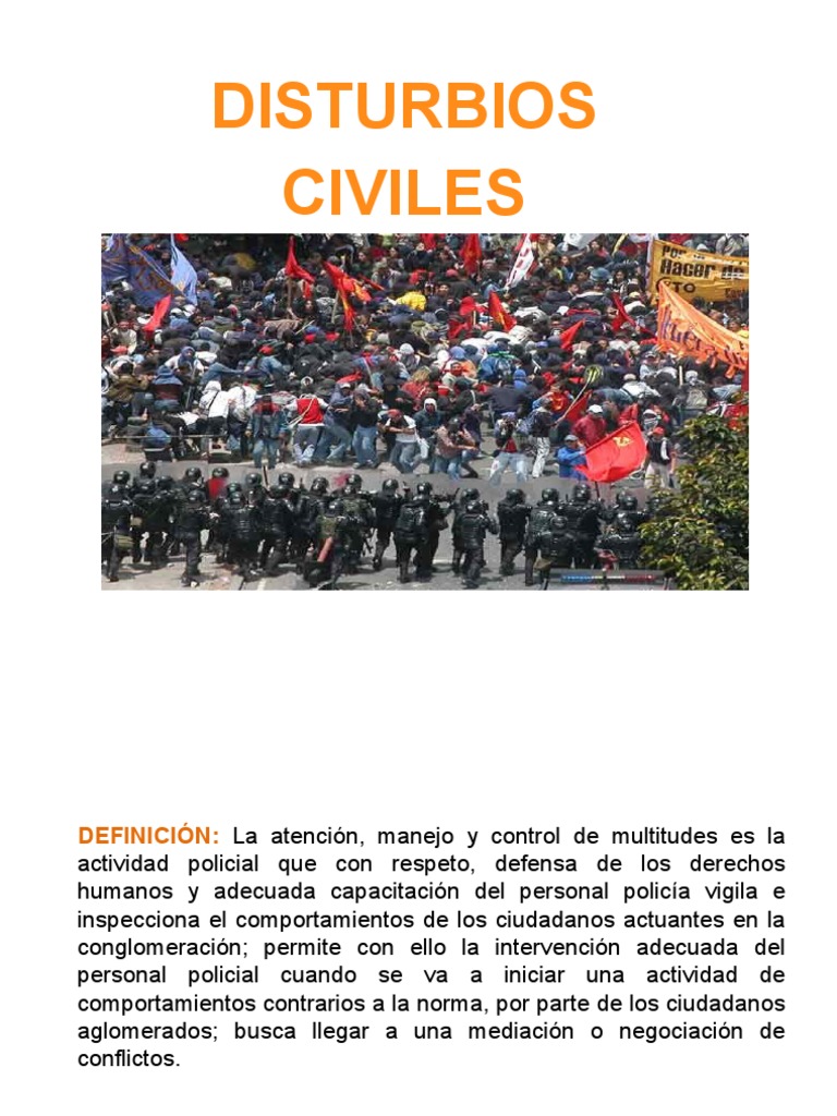 Disturbios Civiles | PDF | Policía | Justicia