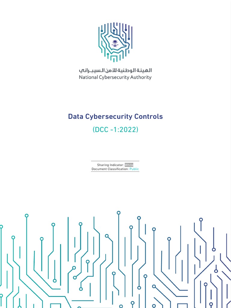 Data Cybersecurity Controls | PDF