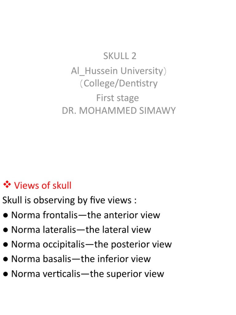Skull 2 Pdf Skull Human Head And Neck