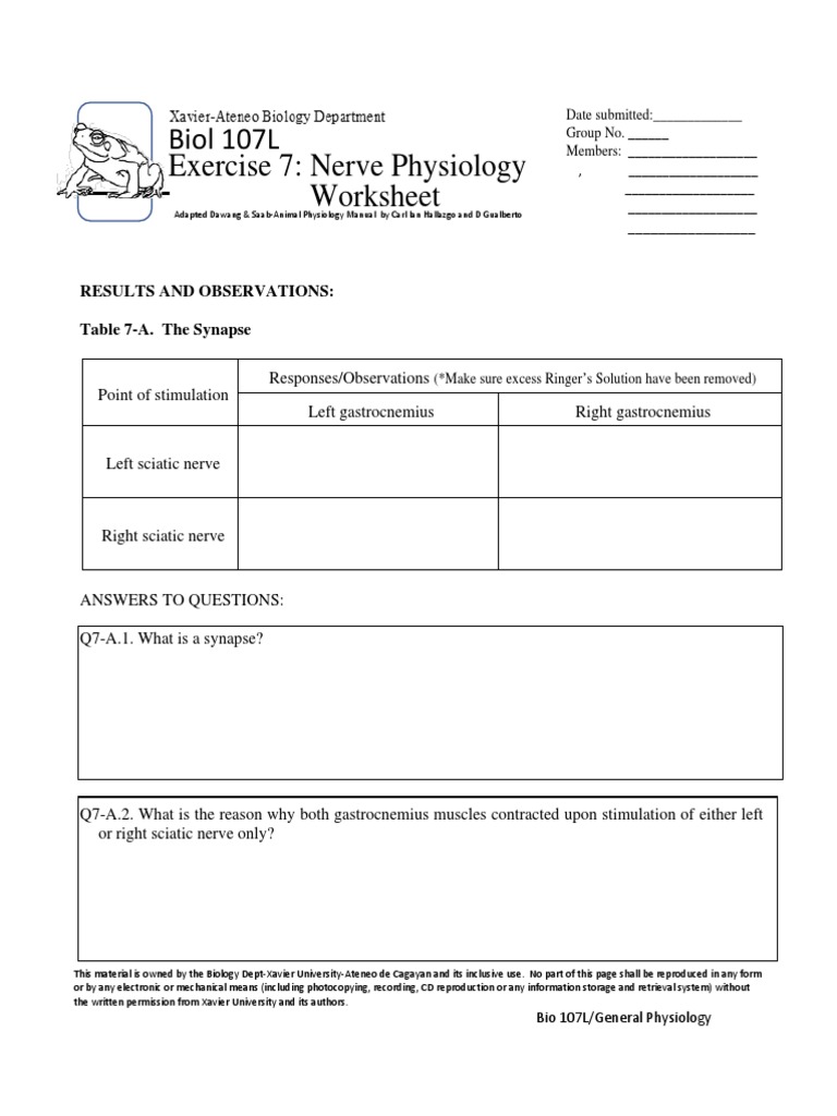 107L-ex7-Nerve Physiology Worksheet-Sy1-Sy2022-2023 | PDF | Wellness ...
