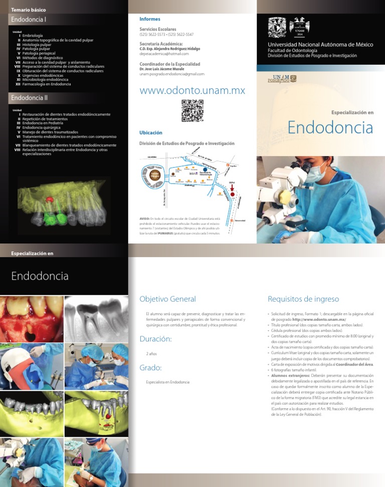 Triptico Endodoncia | PDF