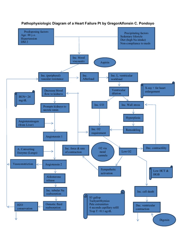 Data Analysis and Processing Guide | PDF