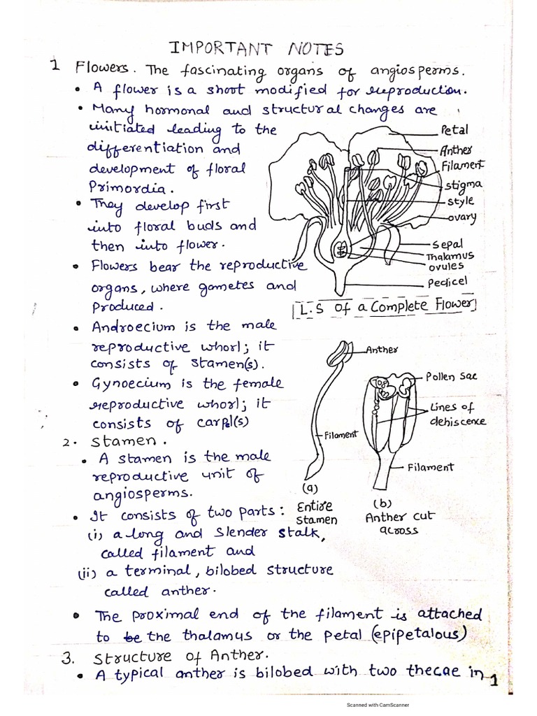 Sexual Reproduction in Flowering Plant Handwritten Notes Biology | PDF