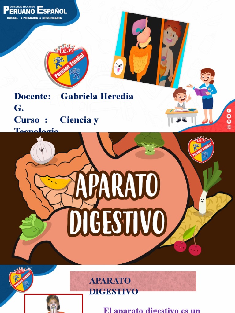 Diapositivas del Aparato Digestivo | PDF | Estilo de vida