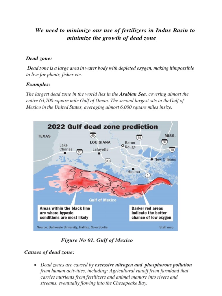Information About Dead Zone | PDF | Dead Zone (Ecology) | Eutrophication