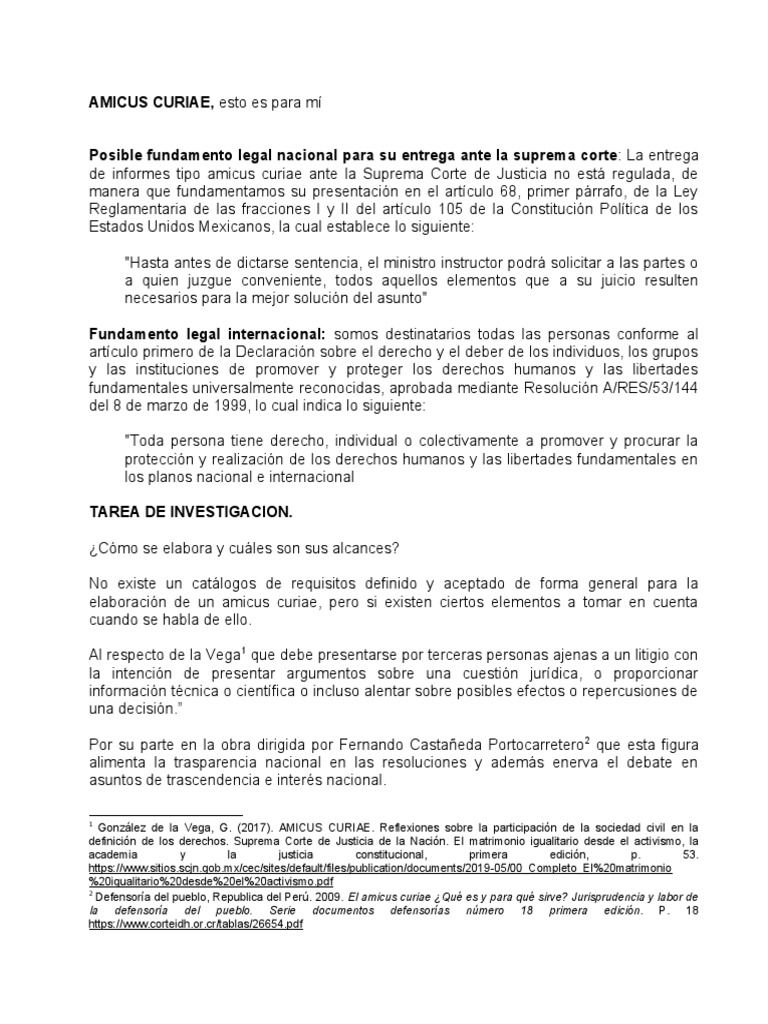 Amicus Curiae | PDF | Amicus Curiae | Derechos humanos