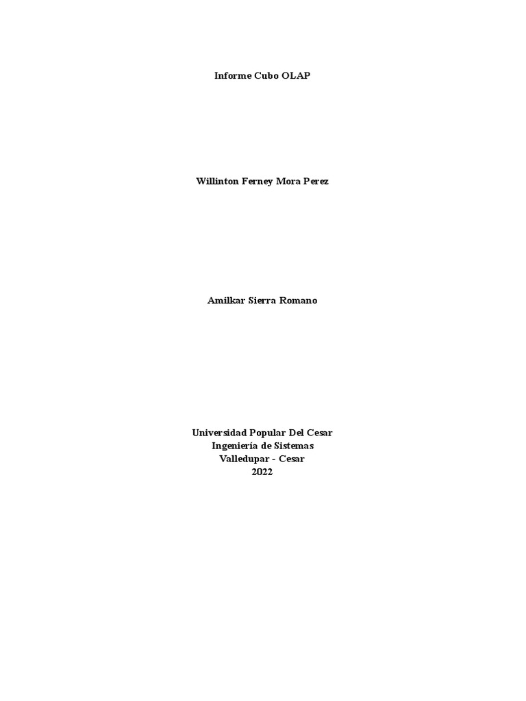 Informe Cubo OLAP | PDF | Bases de datos | Recuperación de información