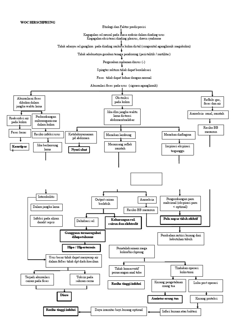 Woc Hirschprung | PDF