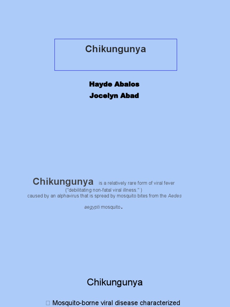 CHIKUNGUNYA | PDF | Mosquito | Aedes Aegypti