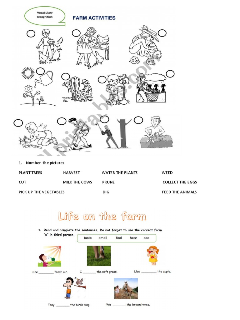 Present Simple Farm Activities | PDF