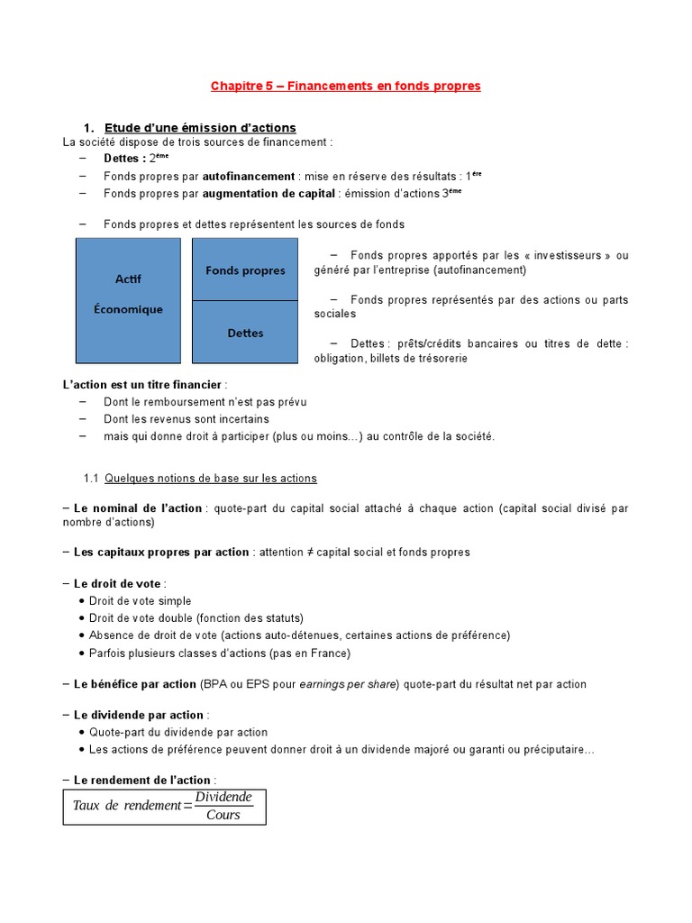 Financement par capitaux propres expliqué | PDF