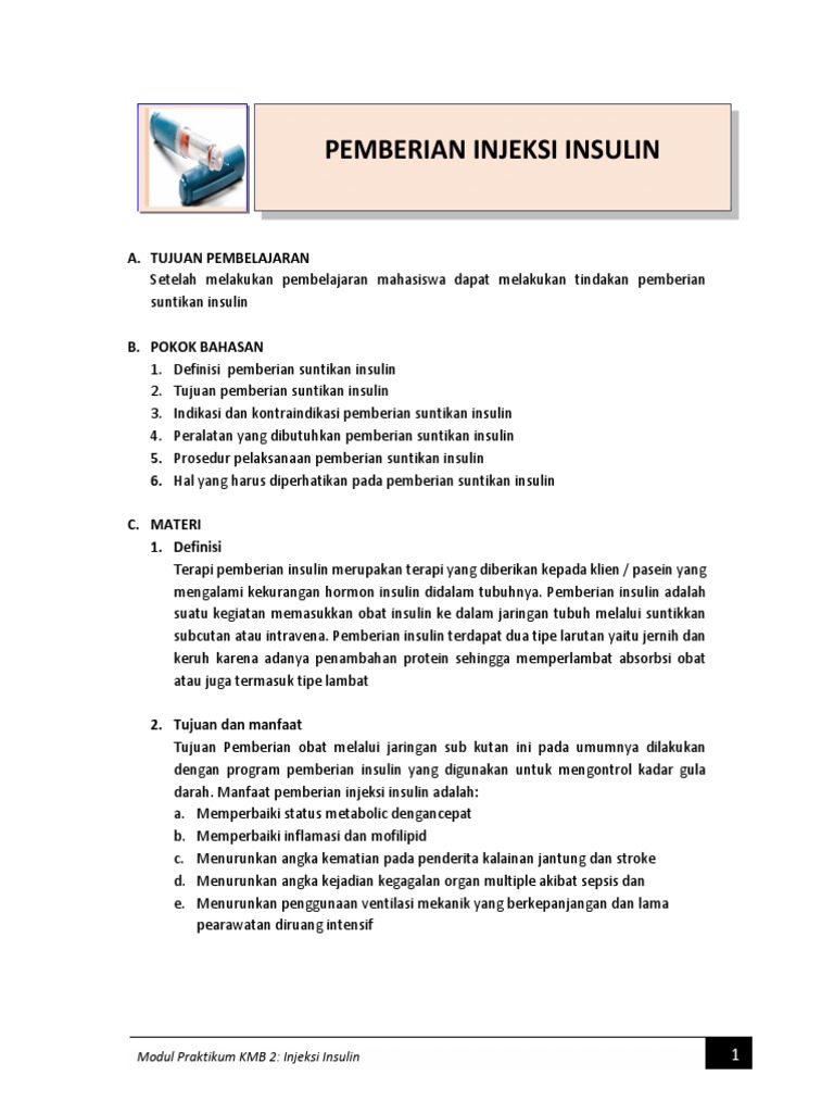 Panduan Pemberian Injeksi Insulin | PDF