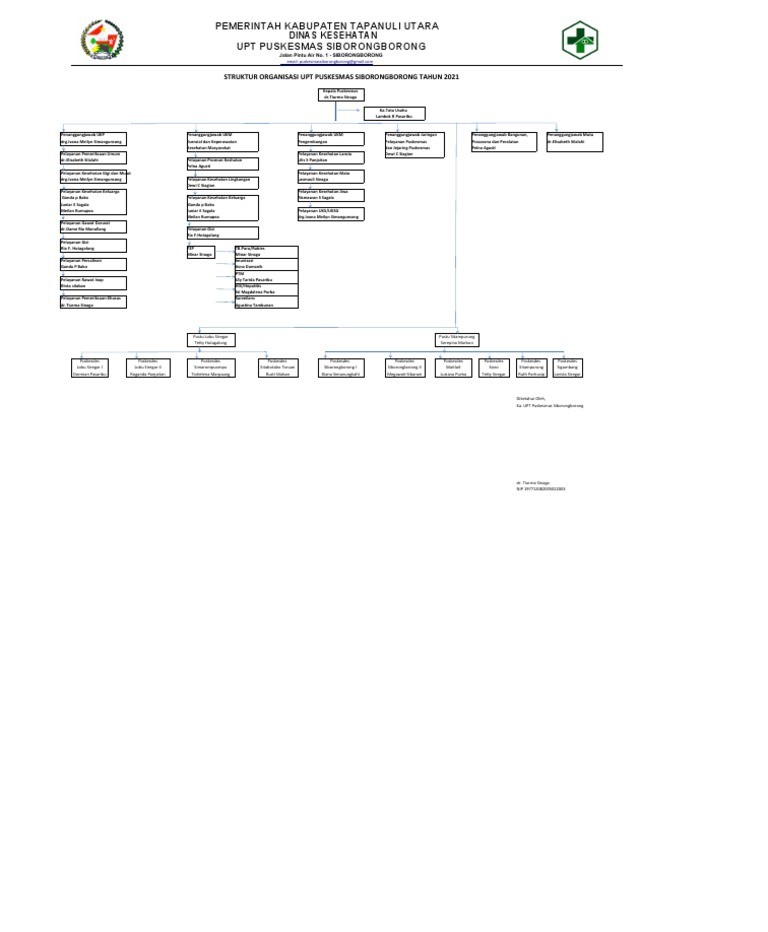 Struktur Organisasi Upt - Puskesmas Siborongborong 2022 | PDF