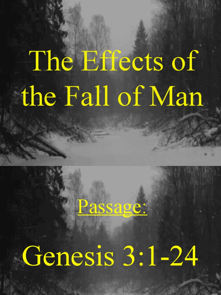 EBS The Effects of The Fall of Man | PDF | Serpents In The Bible | Adam