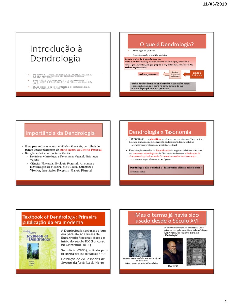Aula 1 e 2 Introdução A Dendrologia | PDF | Árvores | Florestas
