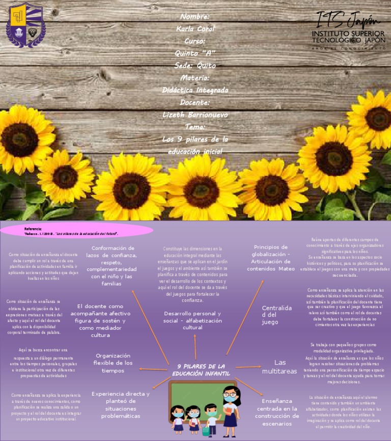 9 Pilares de la Educación Inicial | PDF | Método de enseñanza | Maestros