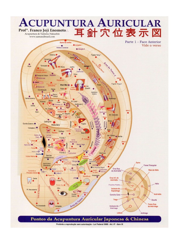 Mapa Auricular | PDF