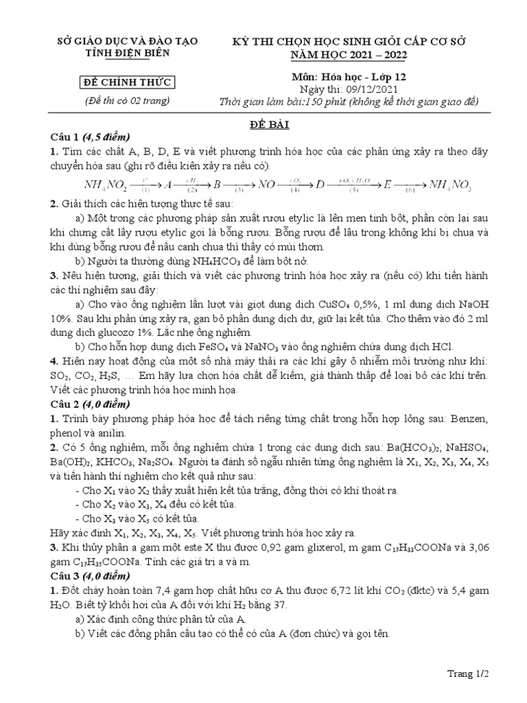 HSG 12 Dien Bien 2021 2022 | PDF