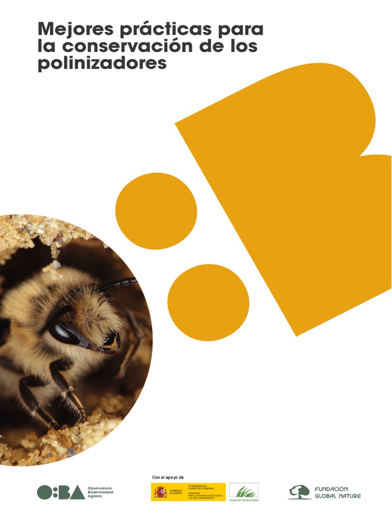 Mejores Prácticas para La Conservacion de Los Polinizadores | PDF