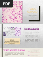 Tejido Adiposo Cuadro | PDF | Tejido adiposo | Fisiología