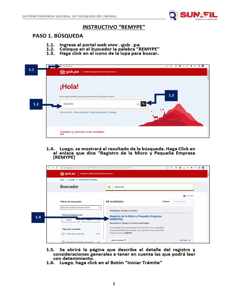 Instructivo REMYPE SUNAFIL | PDF