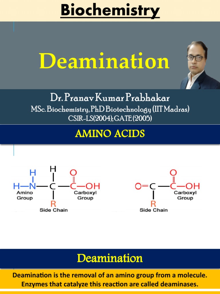 Unit 3 Deamination | PDF | Glutamic Acid | Amino Acid
