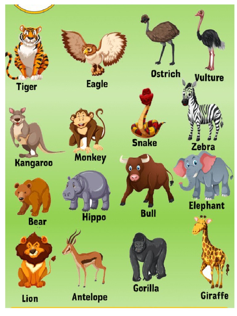 Imagenes de Ingles | PDF
