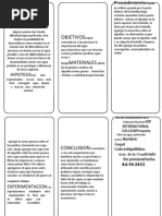 TRIPTICO - Filtro Purificador de Agua Casero-JORGE BASADRE 2019 | PDF | Botella | Agua