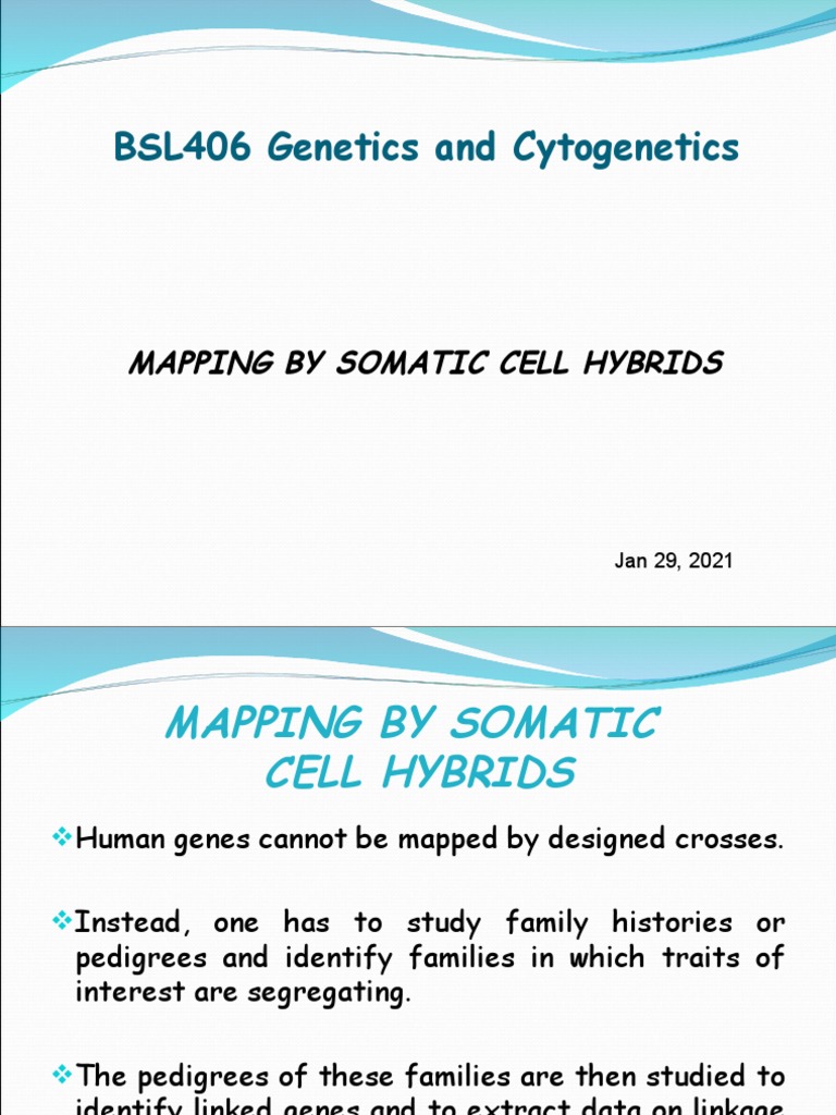 Mapping by Somatic Cell Hybrids Jan 28 2021 | PDF | Molecular Biology ...