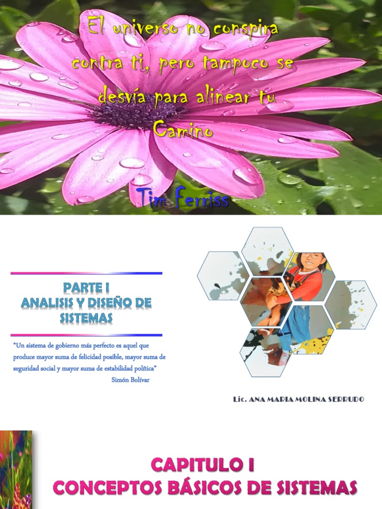 Cap - 1 - Conceptos Basicos de Sistema | PDF | Sistema | Probabilidad