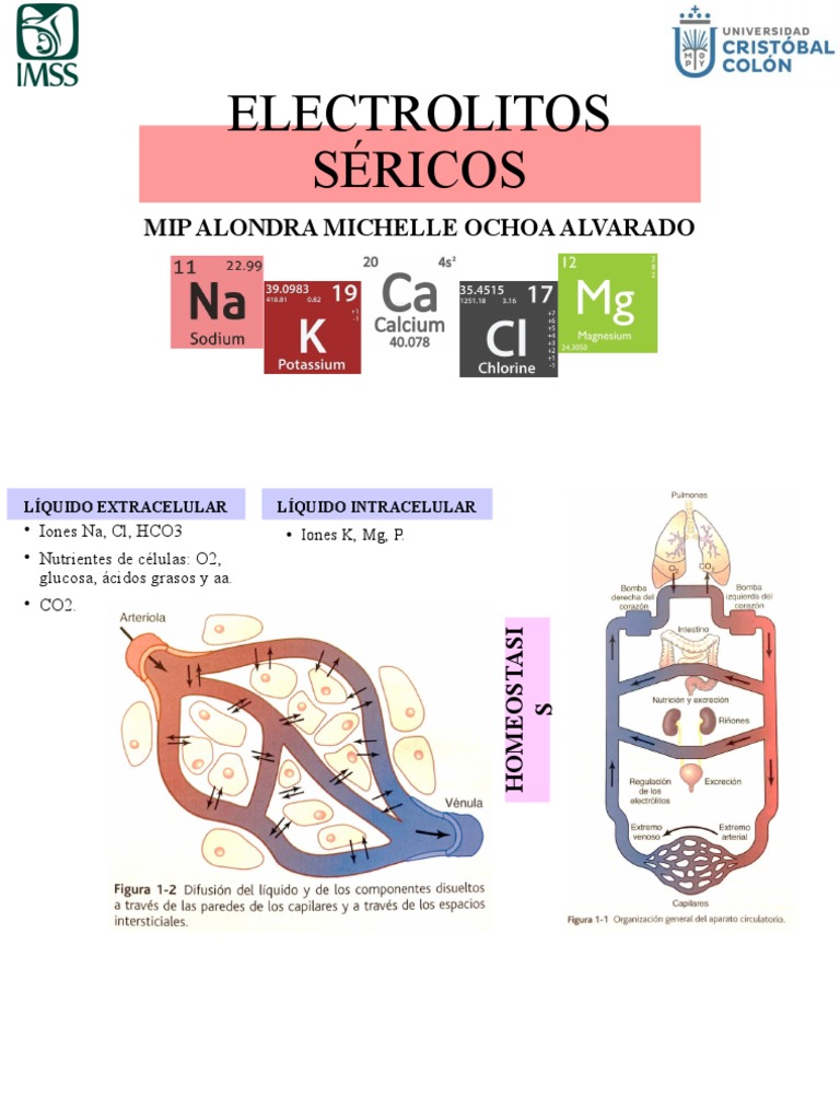 Electrolitos Séricos | PDF | Sodio | Homeostasis