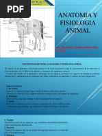 Visceras del Cuerpo Humano: Anatomía y Función | PDF | Sistema ...