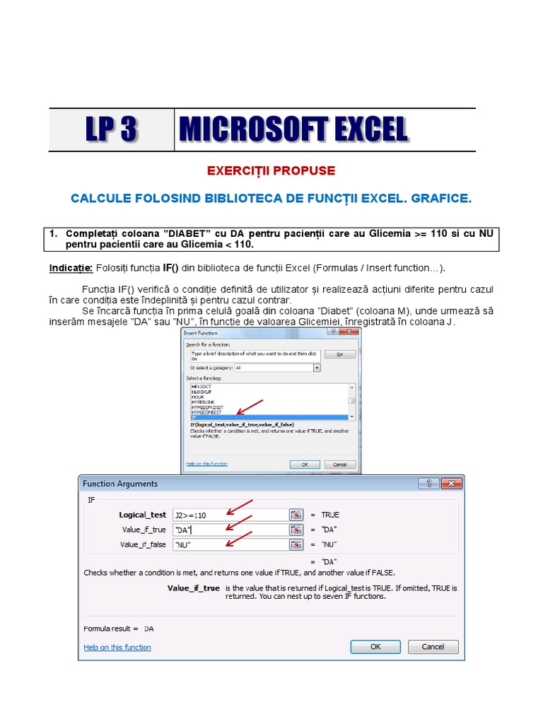 LP 3 Excel Ro - Exercitii | PDF