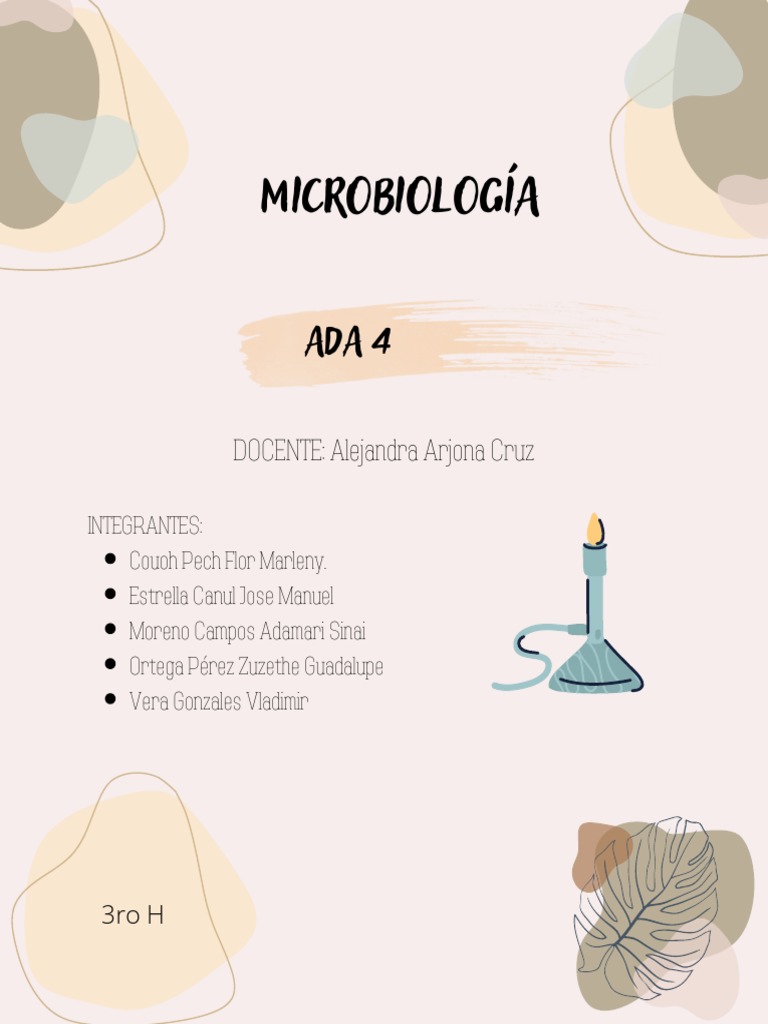 Ada 4 Descargar Gratis Pdf Las Bacterias Especialidades Medicas