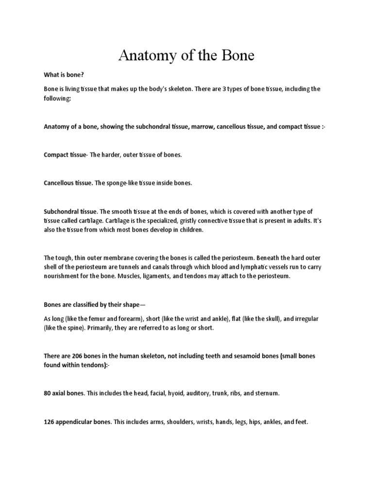 Anatomy of The Bone | PDF | Bone | Skeleton
