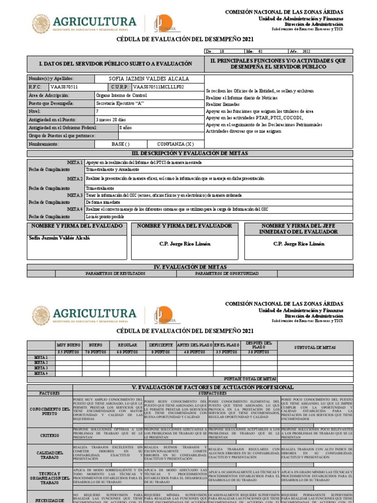 Cédula Evaluación Del Desempeño 2021 Sofía Valdés | PDF | Gestión de recursos humanos