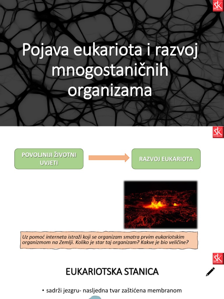 7.+Pojava+eukariota+i+razvoj+mnogostaničnih+organizama | PDF