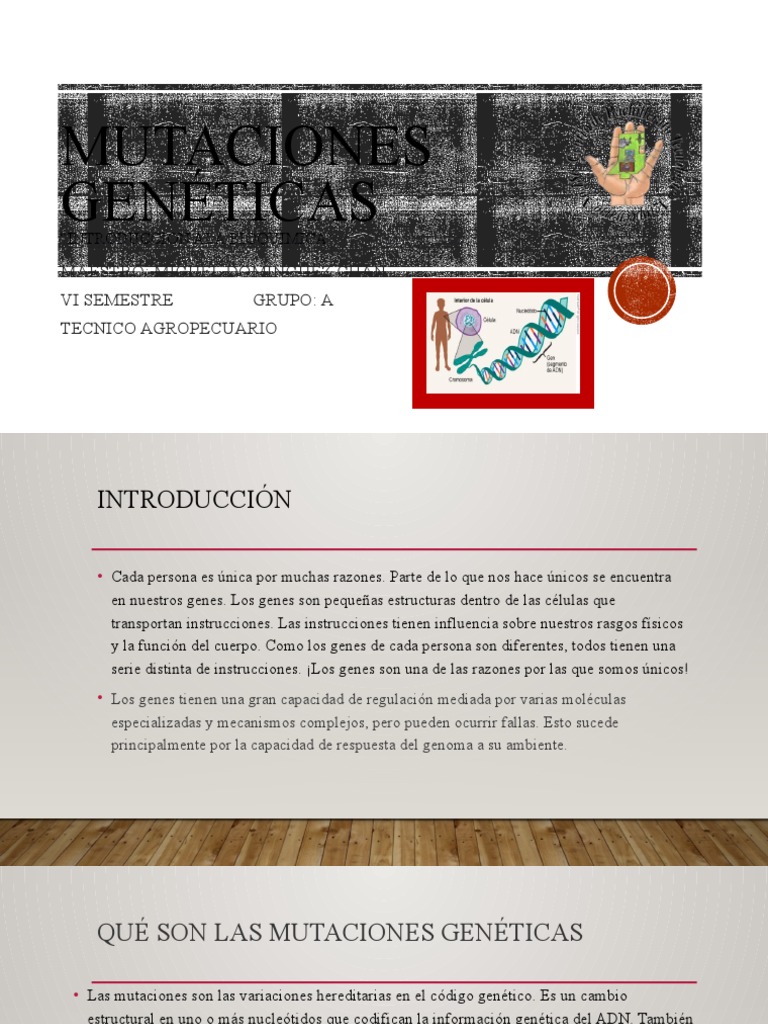 Mutaciones Genéticas | PDF | Gene | Mutación