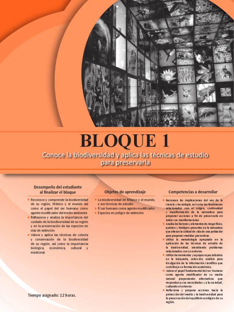 Biologia 2 Segundo Parcial | PDF
