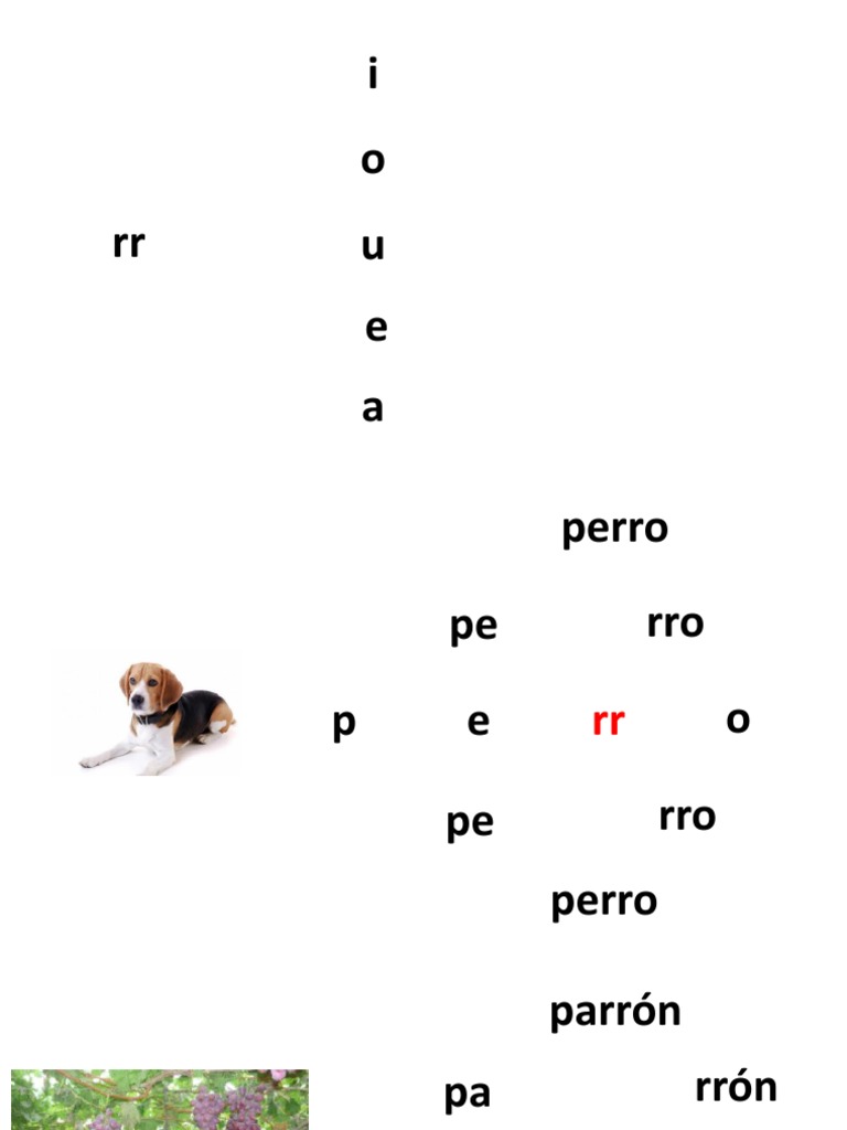 Vocabulario RR | PDF