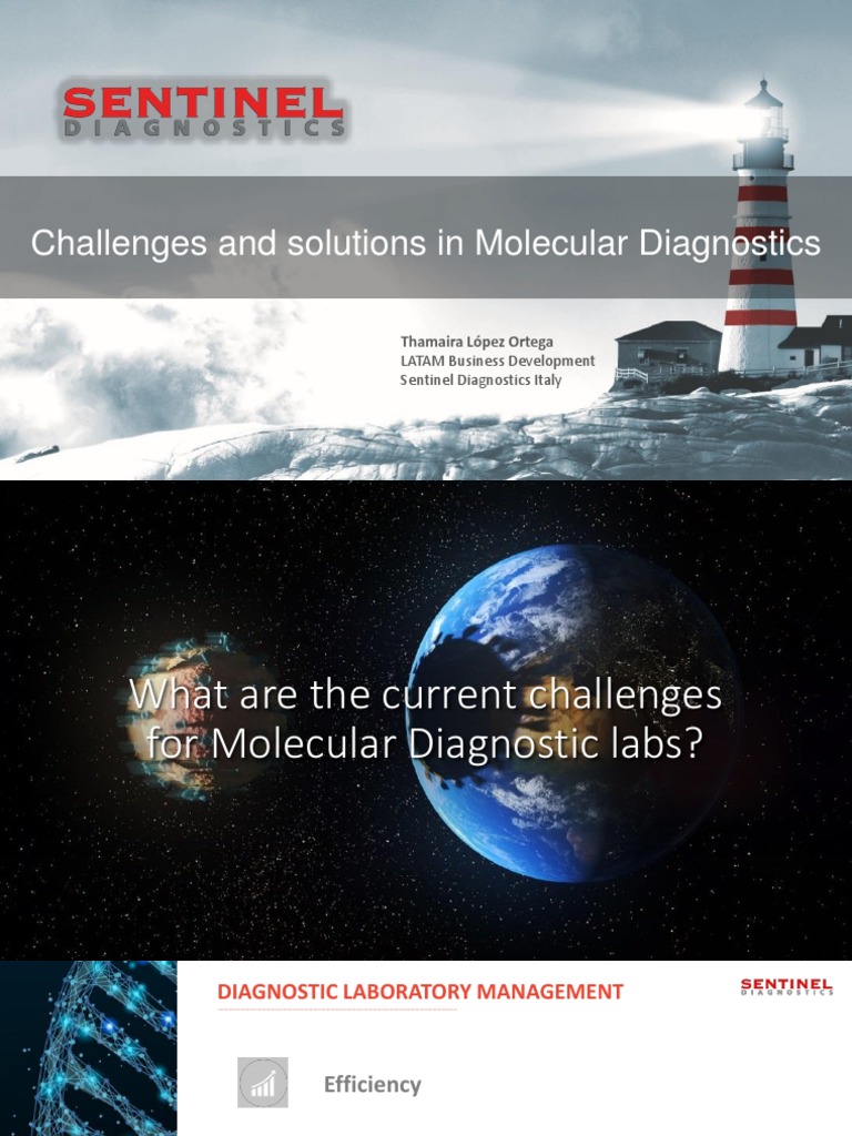 1 Challenges and Solutions in MDX - SENTINEL - FINAL2 | PDF