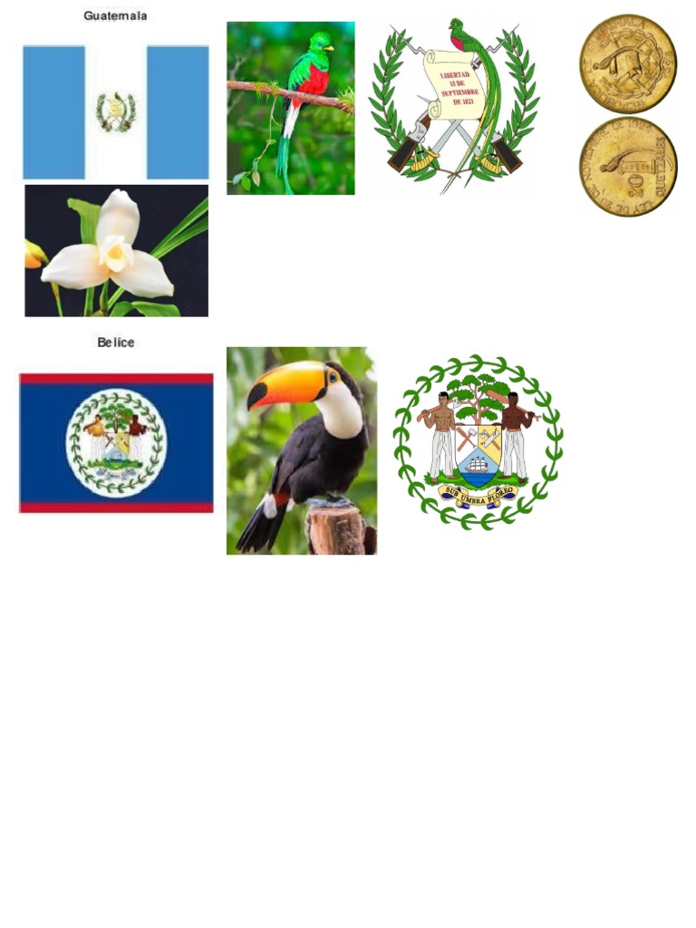 Simbolos y Banderas de Centroamerica Ilustrado | PDF