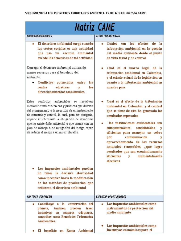 Matriz CAME | PDF | Impuestos | Entorno natural